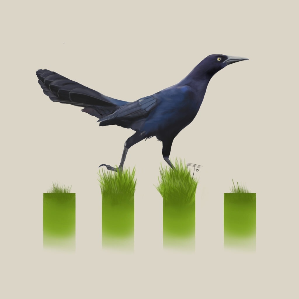 Common Birds in Antigua Guatemala - Qué Pasa Magazine