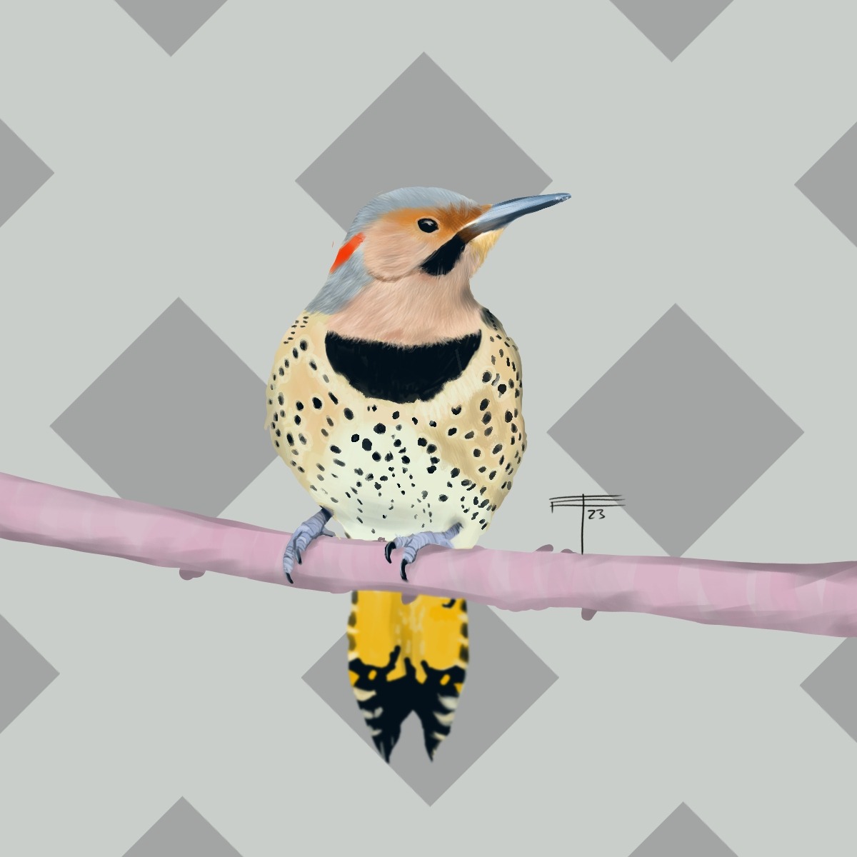 Common Birds in Antigua Guatemala - Qué Pasa Magazine