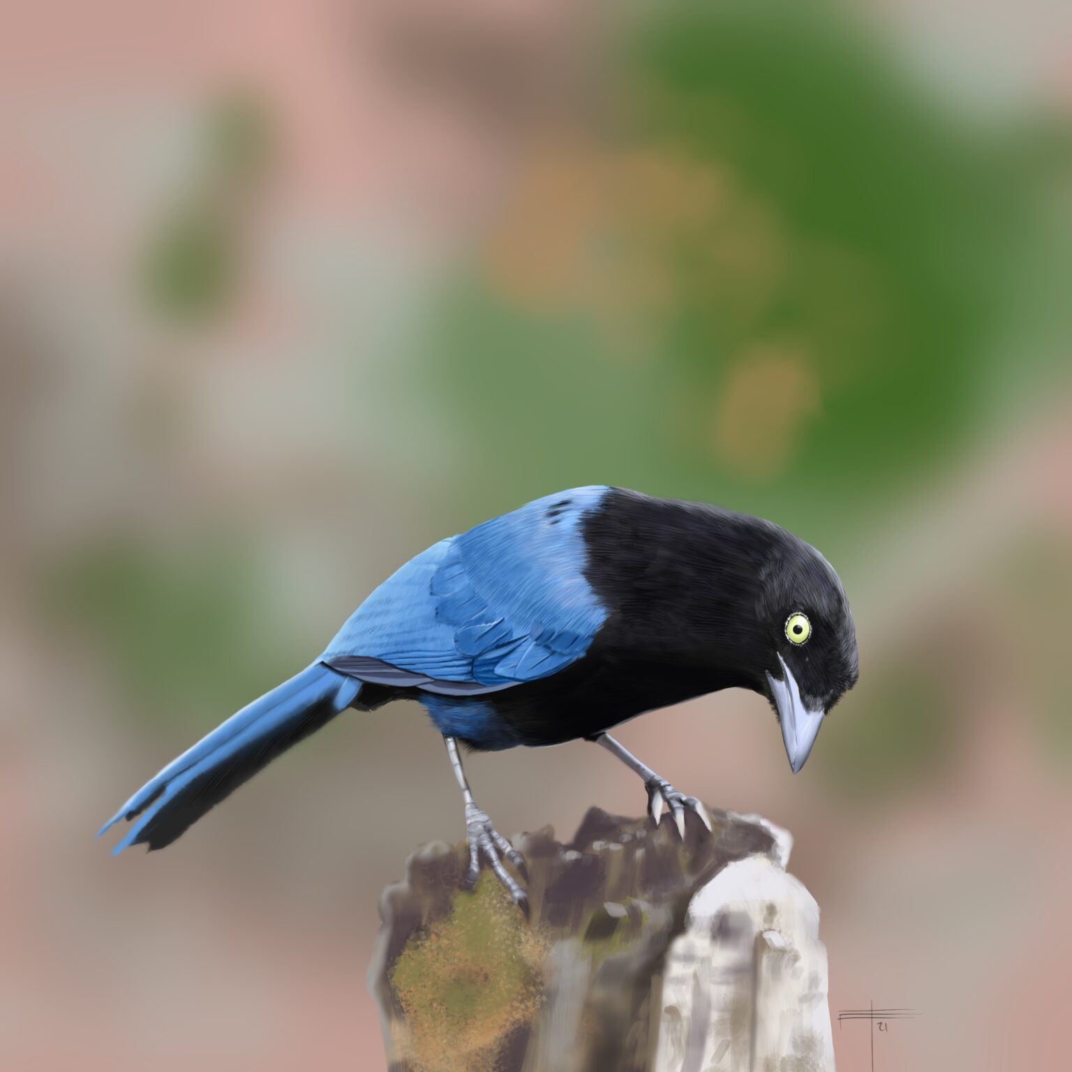 Common Birds in Antigua Guatemala - Qué Pasa Magazine