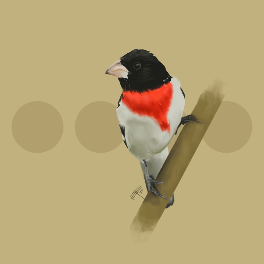 Common Birds in Antigua Guatemala - Qué Pasa Magazine