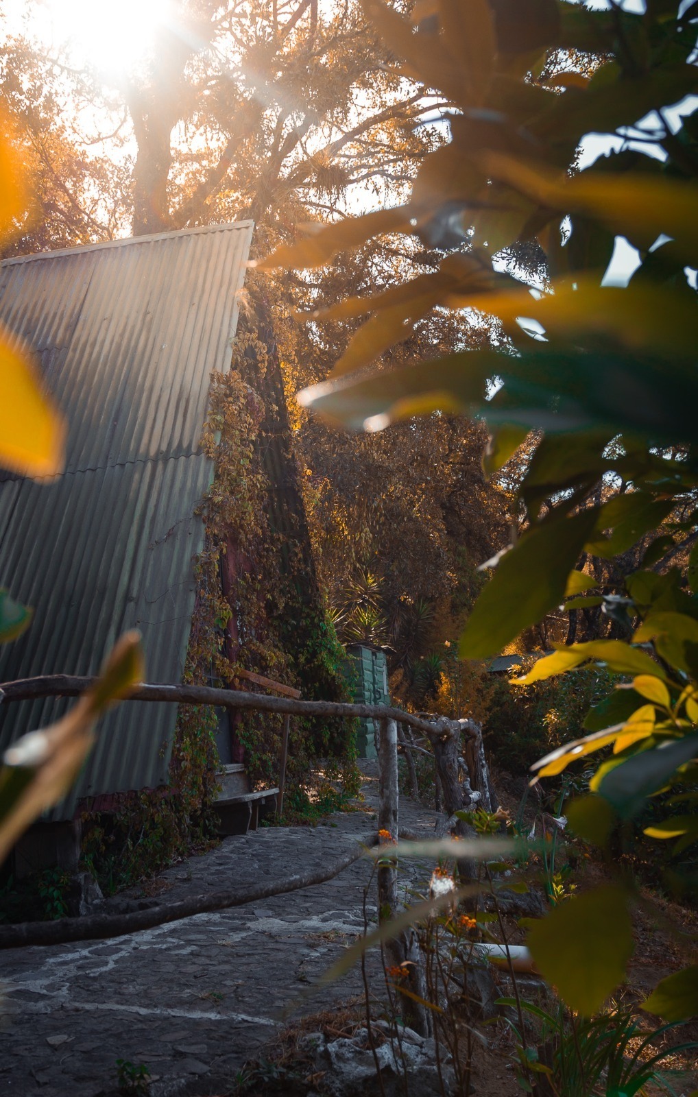 Earth Lodge - Stay in Antigua-Escape to Nature - Qué Pasa Magazine